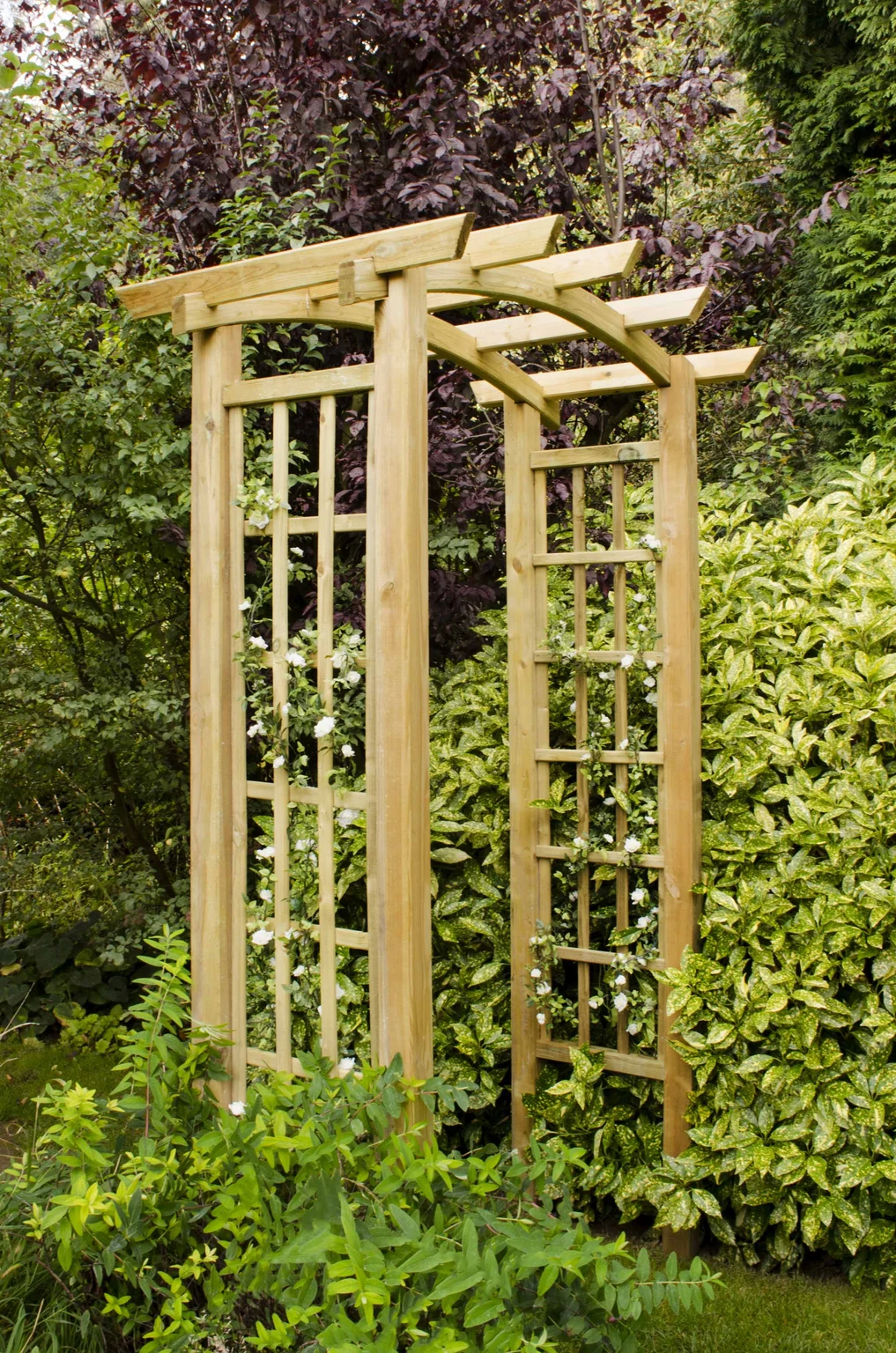 Classic Dome Arch - Henry Street Garden Centre