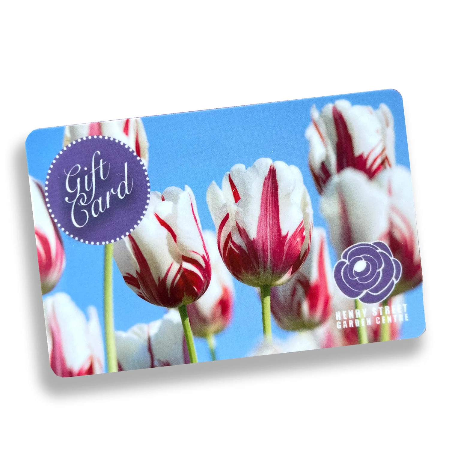HS Gift Voucher - Tulip £50 - Henry Street Garden Centre